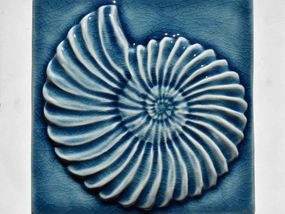 Ammonite Fossil Wall Tile | Powderhounds Tiles