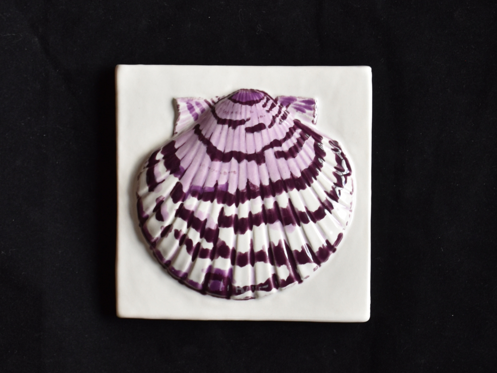 Purple Calico Scallop Shell | Powderhounds Tiles
